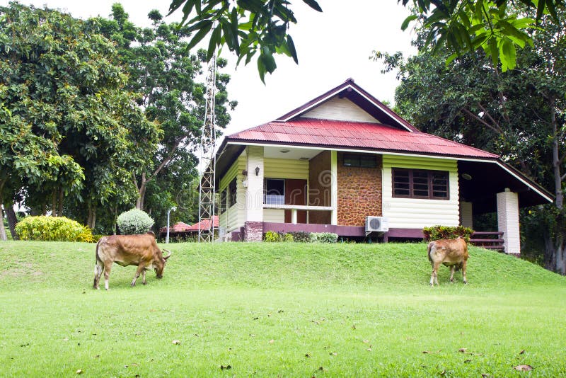 Weekend house stock photo. Image of wood, mountain, comfortable - 16292824