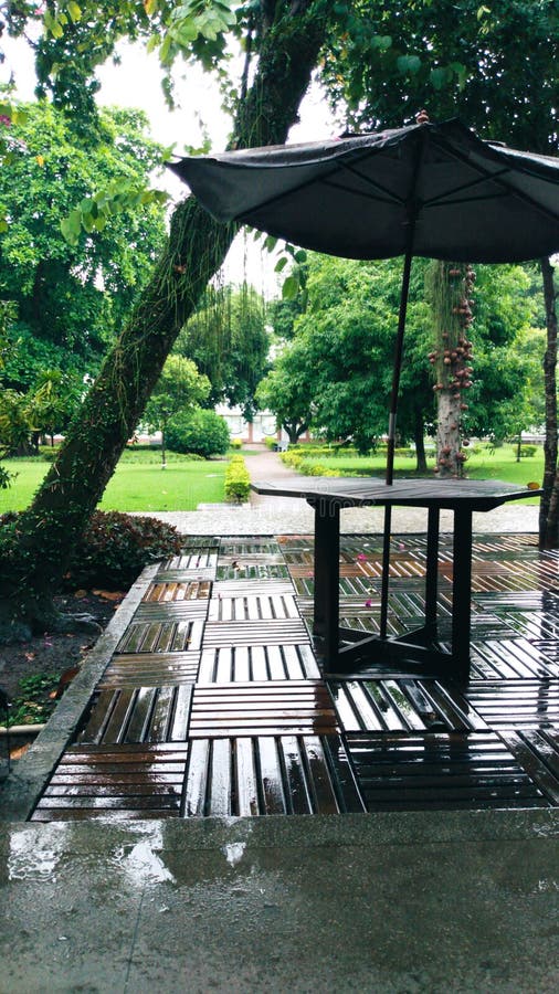 Weekend in park stock image. Image of lifestyles, barefoot - 43411477