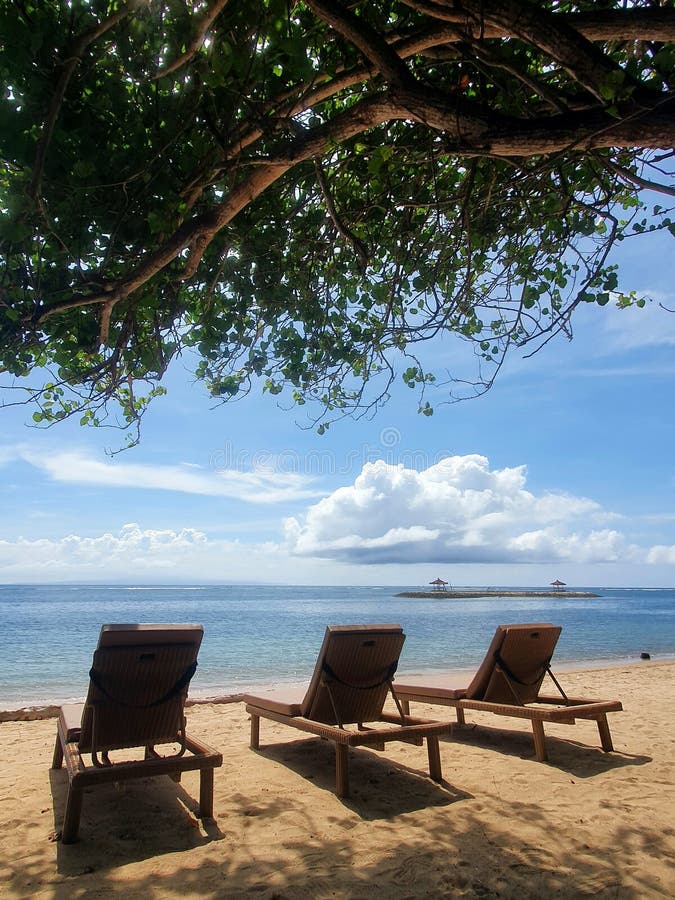 Weekend vibes to the beach stock photo. Image of flower - 259560122