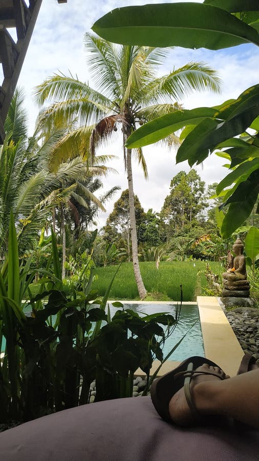 Weekend View Terrace and Pool in Ubud Bali Stock Image - Image of ...