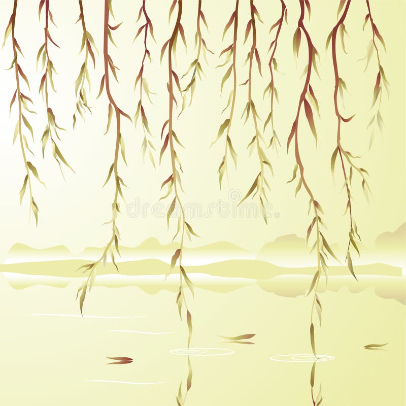 Weeping willow stock vector. Illustration of reflection - 18345992