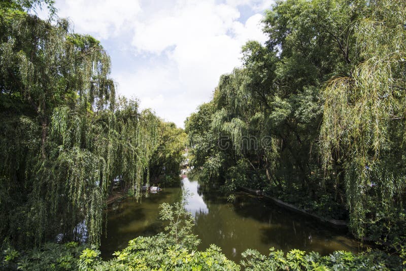 Weeping Willow Branch Over River Stock Photo - Image of lake, forest ...