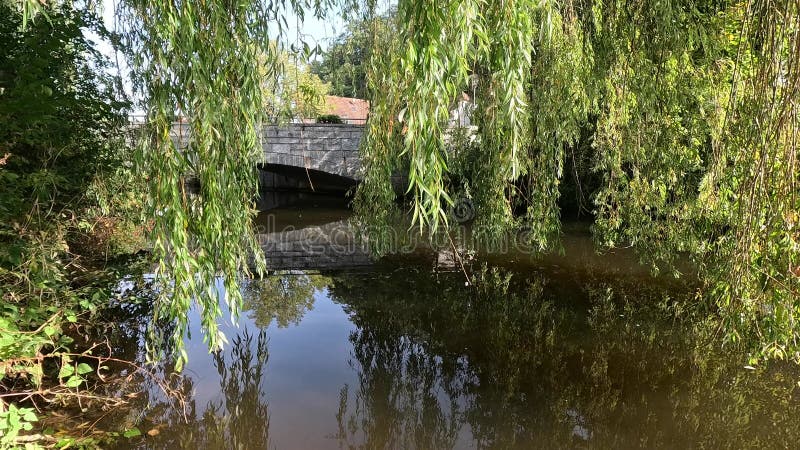 Weeping Willow by a Stream in Bavaria in Autumn Stock Video - Video of ...