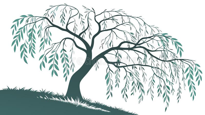 Weeping Willow Tree Landscape, Nature, Scenery, Vector Design ...