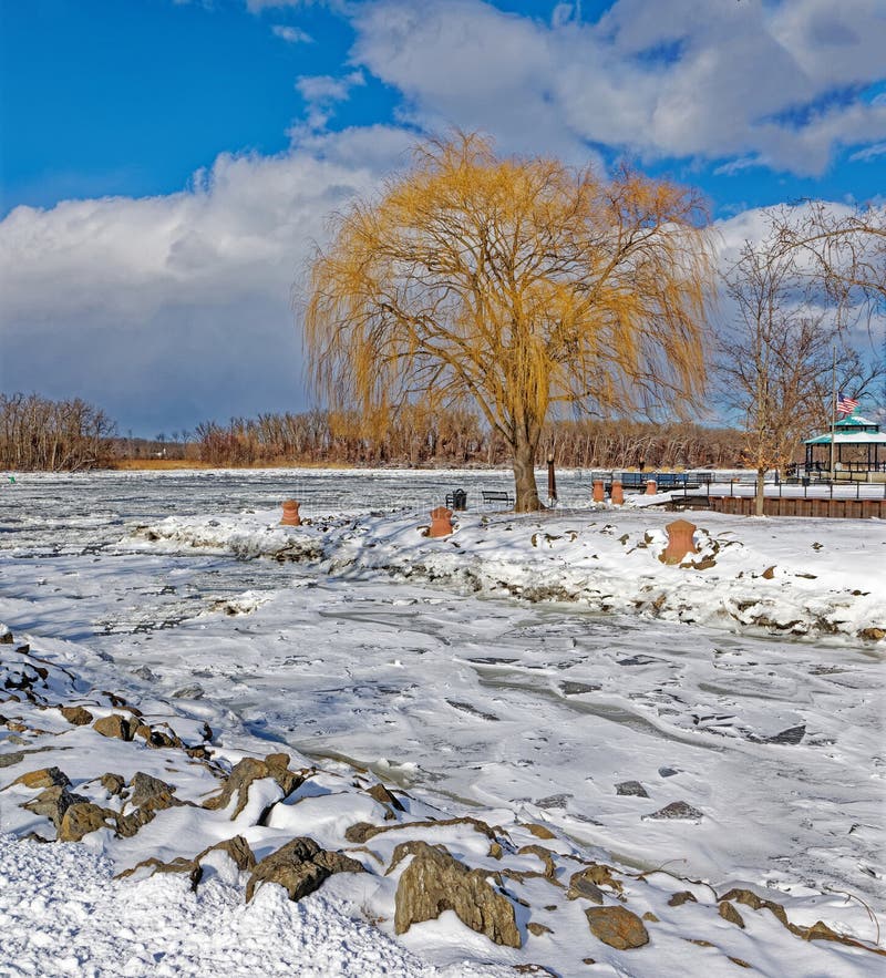 Weeping Willow Tree at Rivers Edge in Park Setting in Winter Snow Stock ...