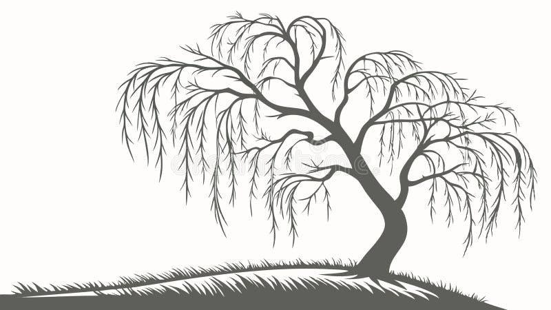 Weeping Willow Tree Vector Illustration, Vector Design Generative AI ...