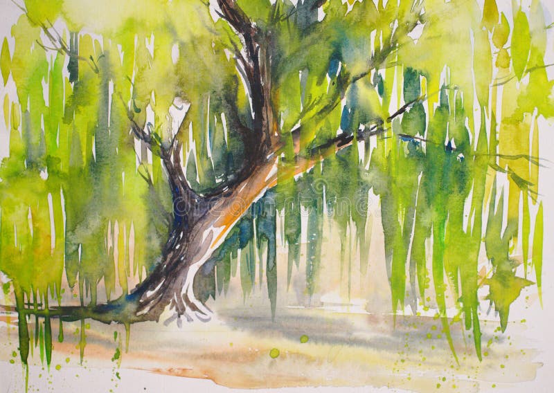 Oil Painting Weeping Willow Tree Also Known As Babylon Willow or Salix ...