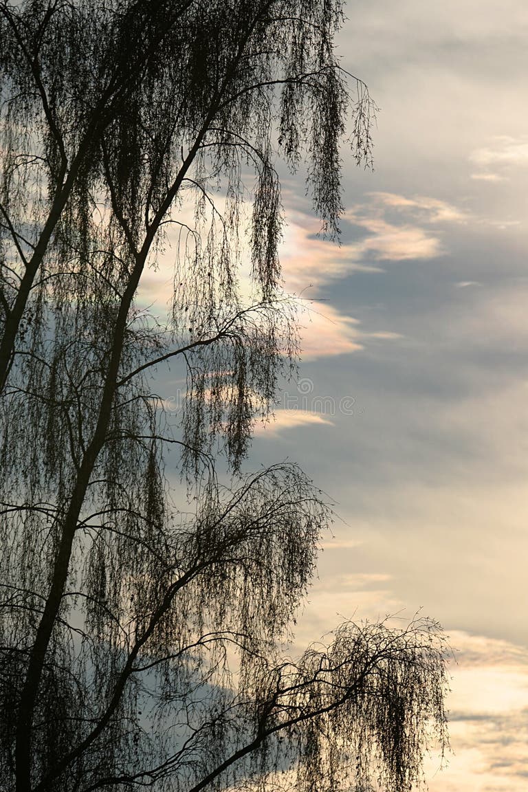 26,422 Weeping Uranus Stock Photos - Free & Royalty-Free Stock Photos ...