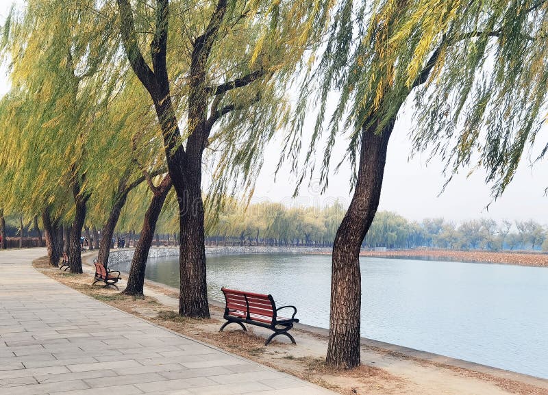 Scenery Along the Lake in Late Autumn. Stock Photo - Image of late, wind: 344916250