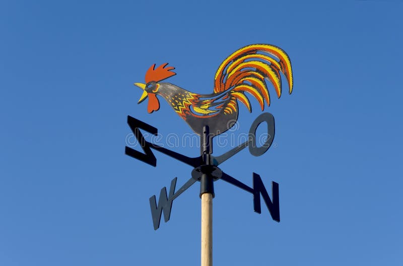 Weerhaan stock foto. Image of zuiden, decoratie, landbouwbedrijf - 7634856