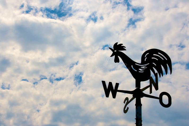 Weerhaan op bewolkte hemel stock foto. Image of blauw - 25919806