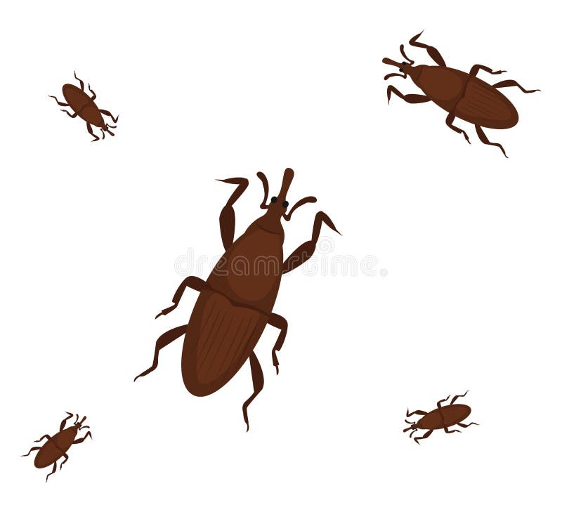 Weevil bug, icon stock vector. Illustration of natural - 261379884