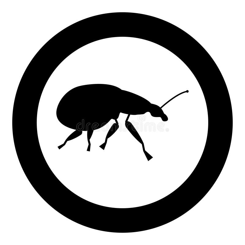 Weevil Insect Pest Icon in Circle Round Black Color Vector Illustration ...