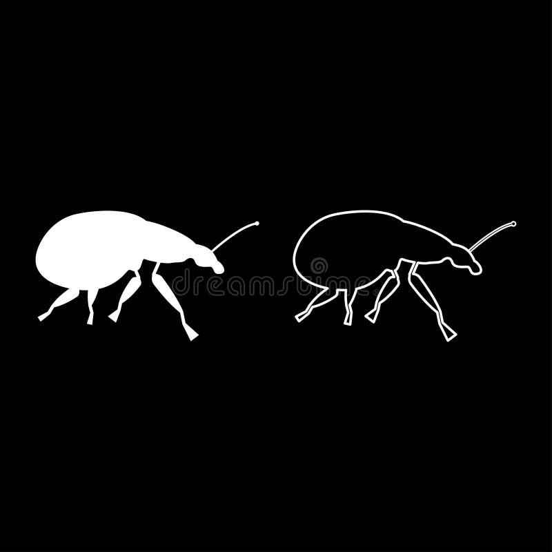Weevil Insect Pest Set Icon White Color Vector Illustration Image Solid ...