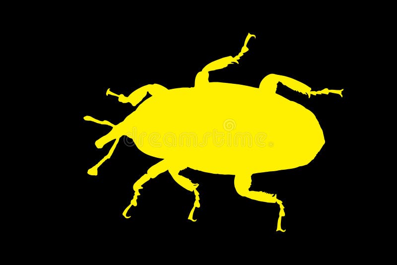 Weevil Vector Black Icon. Vector Illustration Pest Insect Weevil on ...