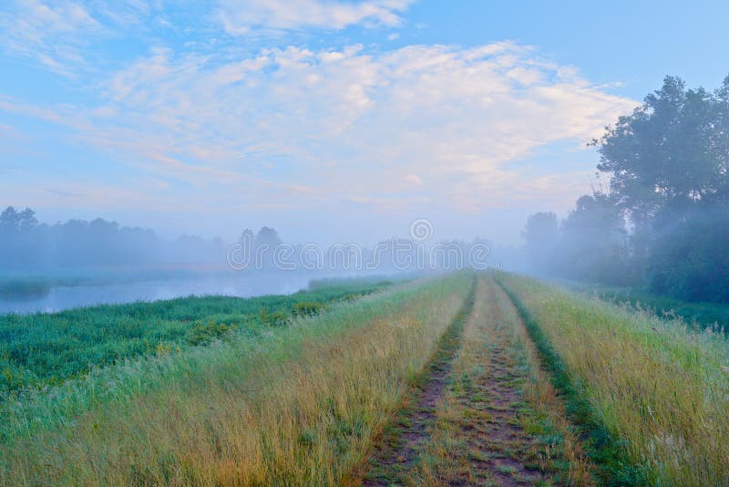 Weg Naar De Mist. Mysterieus Landschap Stock Afbeelding - Image of ...