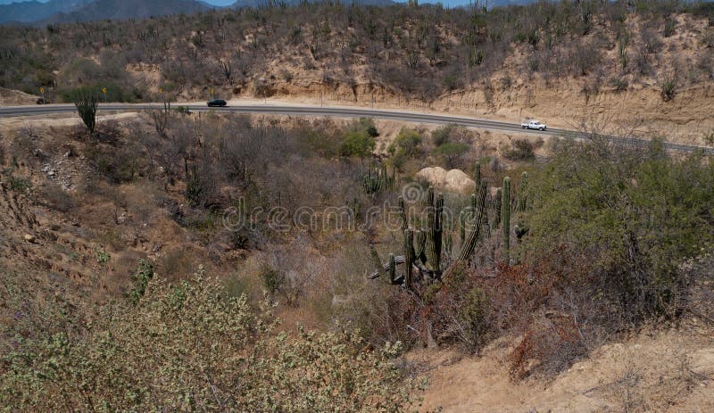 Weg in de woestijn stock afbeelding. Image of cactus - 38594381