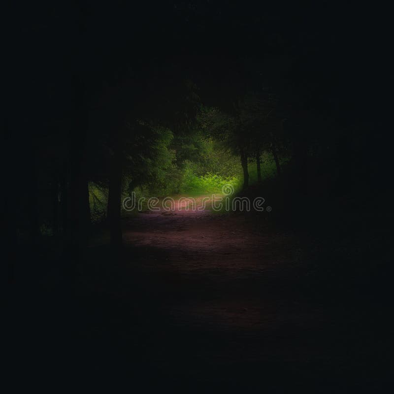 Weg in Donker Bos Met Licht Aan Het Eind Stock Afbeelding - Image of ...