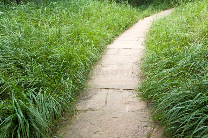 Weg Und Rasen in Einem Park, China Stockbild - Bild von gärtnern ...
