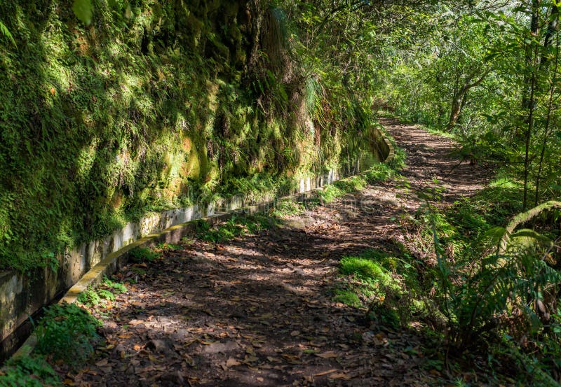 Wegweg Madeiras Levada Szenisch Stockbild - Bild von laurent, nave ...