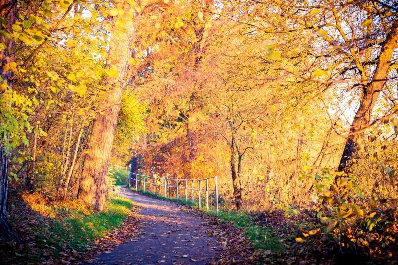 Wegweg am Weichen Licht Des Sonnenaufgangs Stockbild - Bild von ...