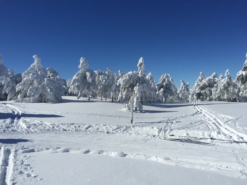 Schneien stockbild. Bild von eingefroren, schneefälle - 17070963