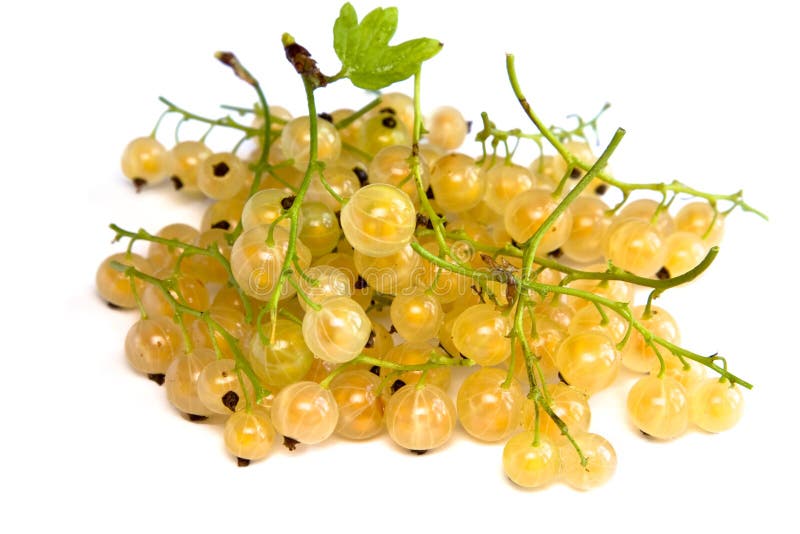 Weiße Korinthen stockfoto. Bild von wöchentlich, reife - 76054124