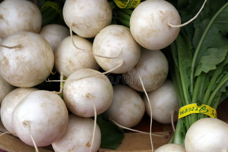 Weiße Rüben stockbild. Bild von grün, lebensstil, bestandteil - 27952857