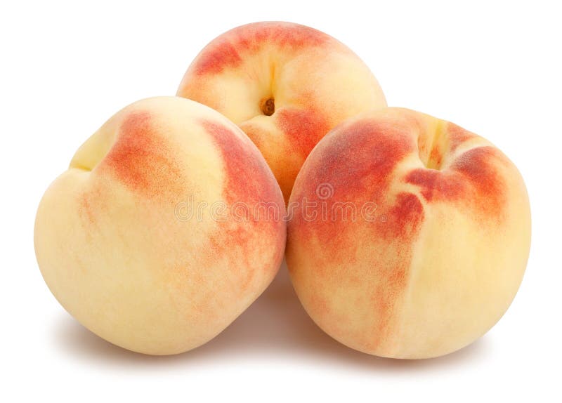 Eine weiße Pfirsichblüte stockbild. Bild von frisch, outdoor - 29566829