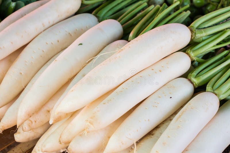 Daikon, weißer Rettich stockfoto. Bild von gemüse, fleischig - 36360382