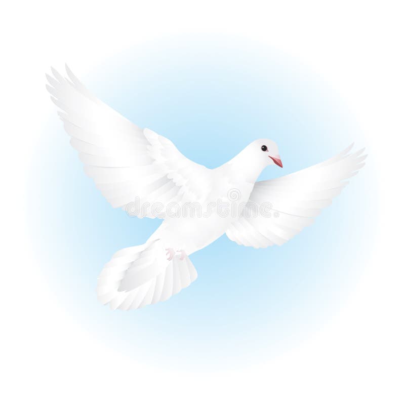 Weiße Taube Ist Das Symbol Eines Friedens, Blauer Himmel Vektor ...