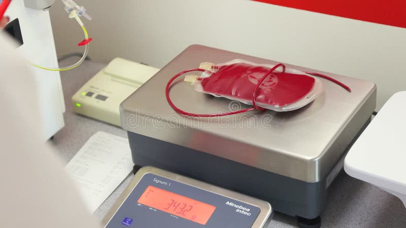 Weighing a Container of Blood Stock Video - Video of hemoglobin ...