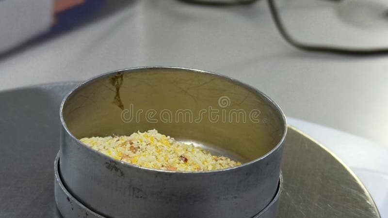 Weighing on the Scales of Corn Cutting for Moisture Stock Footage ...