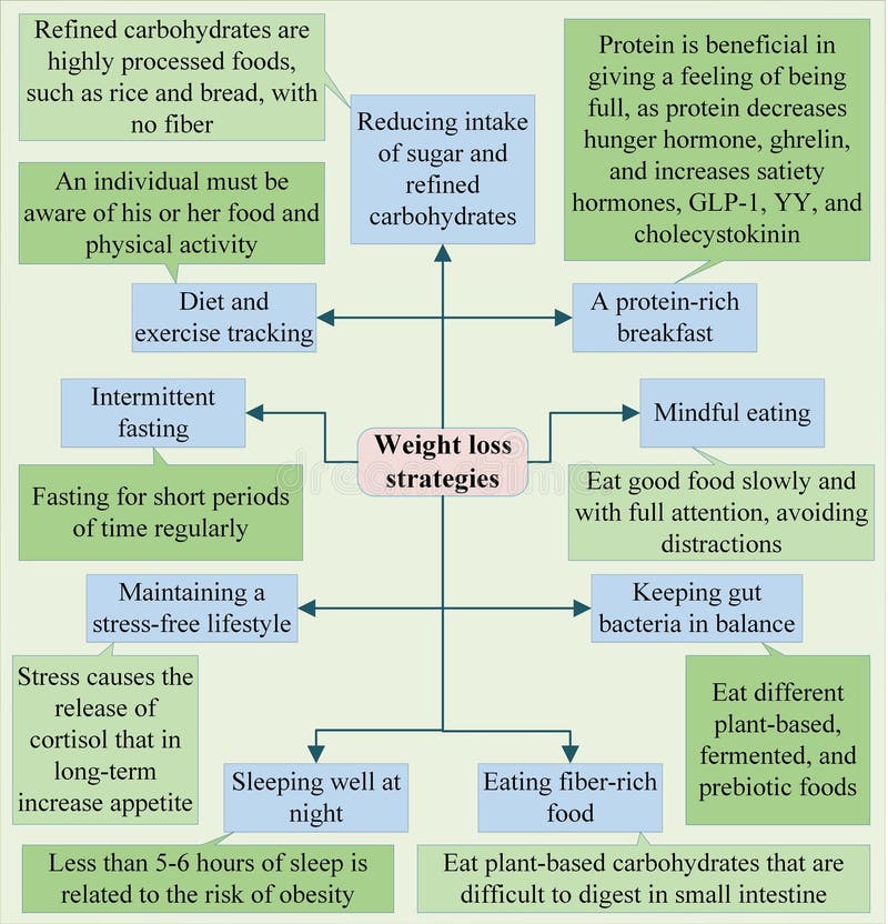 Weight Loss Strategies May Include Intermittent Fasting and Appropriate ...