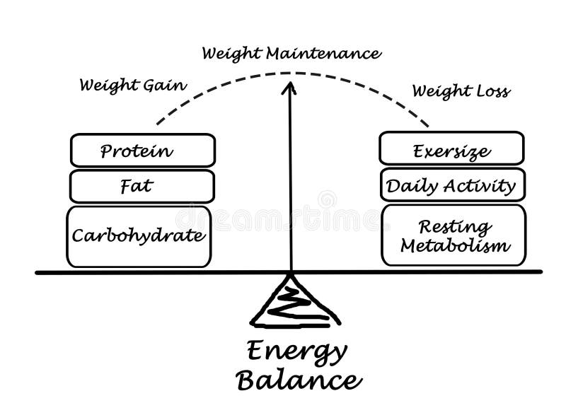 Energy Balance stock illustration. Illustration of protein - 104976205