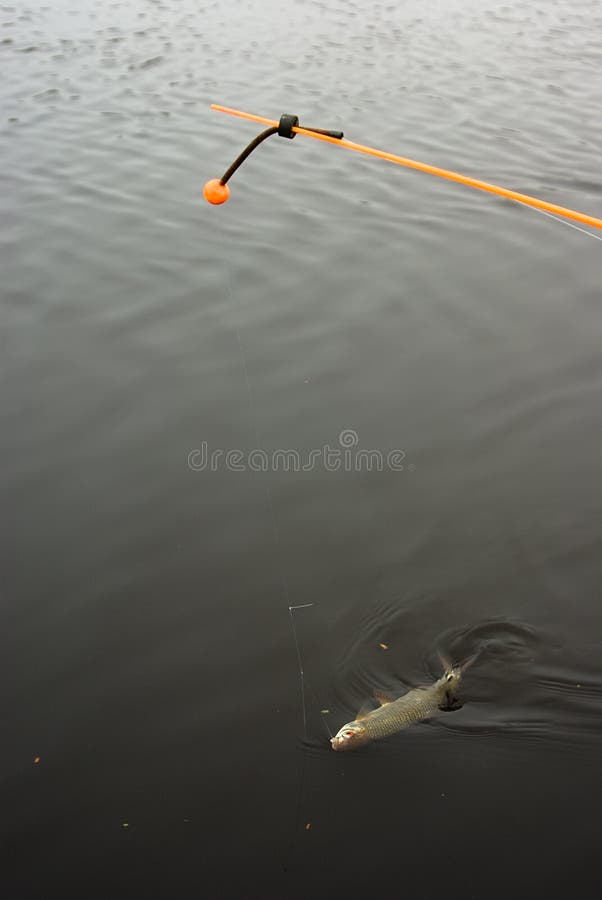 Weighted Line Bottom Fishing Stock Photos - Free & Royalty-Free Stock ...