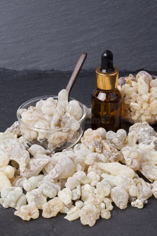 Weihrauch, Boswellia Serrata Stockfoto - Bild von makro, medizin: 33459824