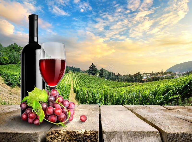 Wein Mit Traube Und Weinberg Stockfoto - Bild von trauben, gruppe: 34507402