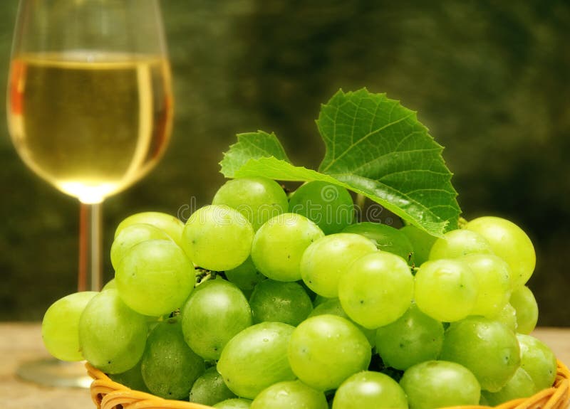 Grüne Trauben stockbild. Bild von frankreich, weinberg - 6865139