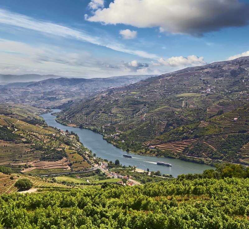 Douro Tal, Portugal stockbild. Bild von grün, produktion - 44652083