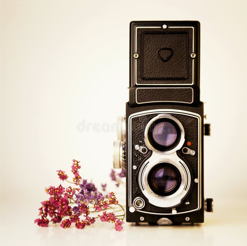 Doppel- Linse Reflex-phot Kamera Stockbild - Bild von photograph ...