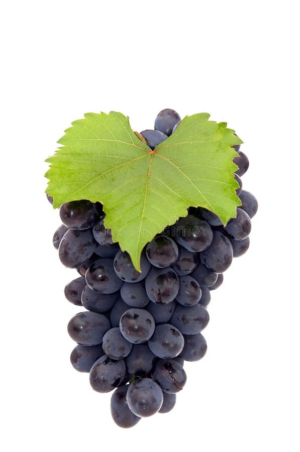 Weintraube Auf Weißem Hintergrund Stockfoto - Bild von frisch, traube ...