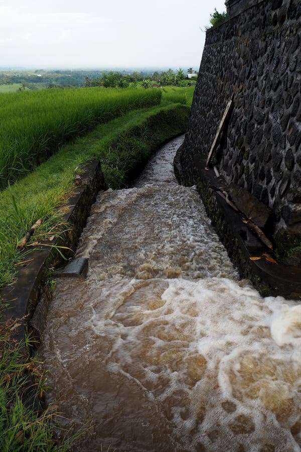 Weir in a ditch stock image. Image of irrigate, weir - 18784821
