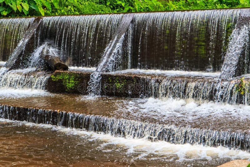 Weir stock image. Image of edge, holland, meadow, netherlands - 56170489