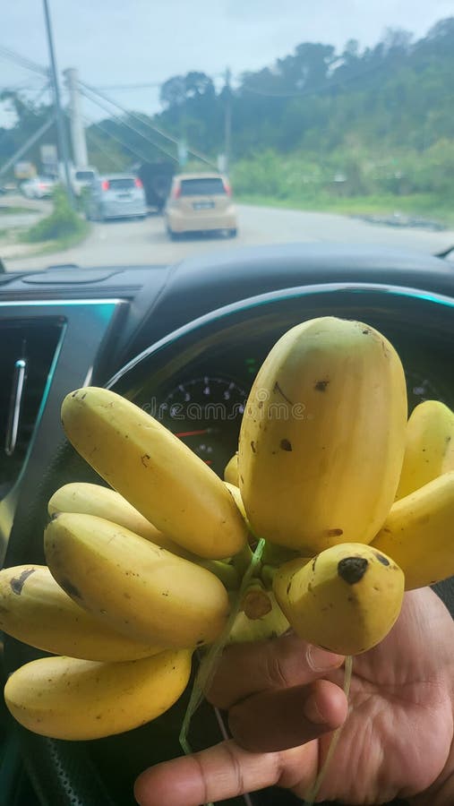 Weird Banana stock photo. Image of tree, cuisine, dessert - 264829146