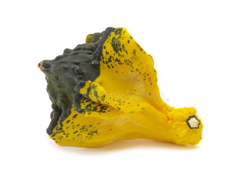 Weird Squash Or Gourd Isolated On White Stock Image - Image of knobbly ...