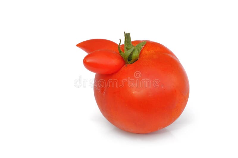 Weird Tomato Isolated on White. Stock Photo - Image of symbolism ...