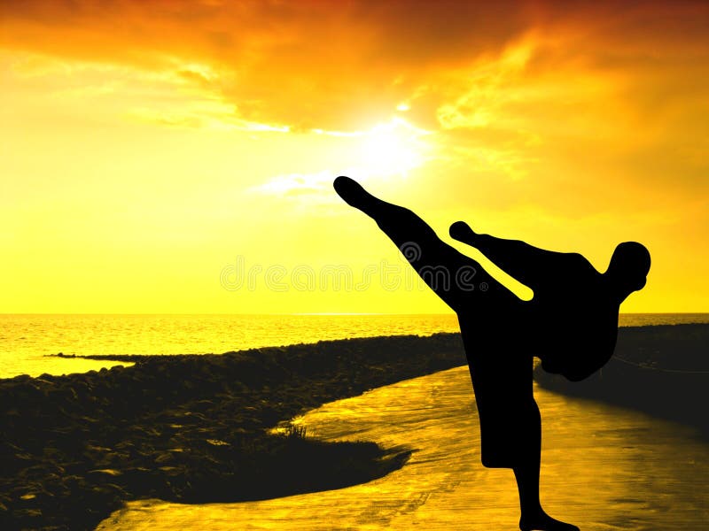 Weise von Karate stockbild. Bild von ninja, küste, kriegerisch - 34832135