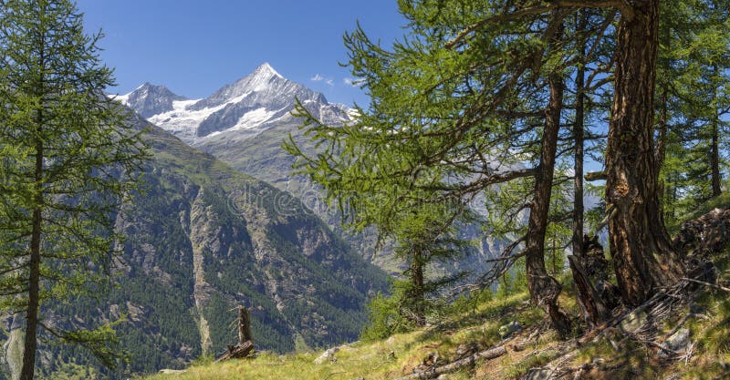 The Weisshorn Peak in Walliser Alps Over the Mattertal Valley Stock ...