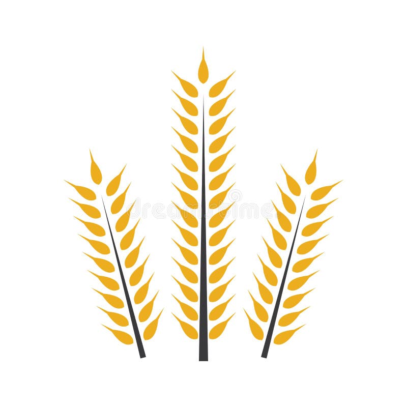 Weizen-Logo-Bilder vektor abbildung. Illustration von frech - 237583523